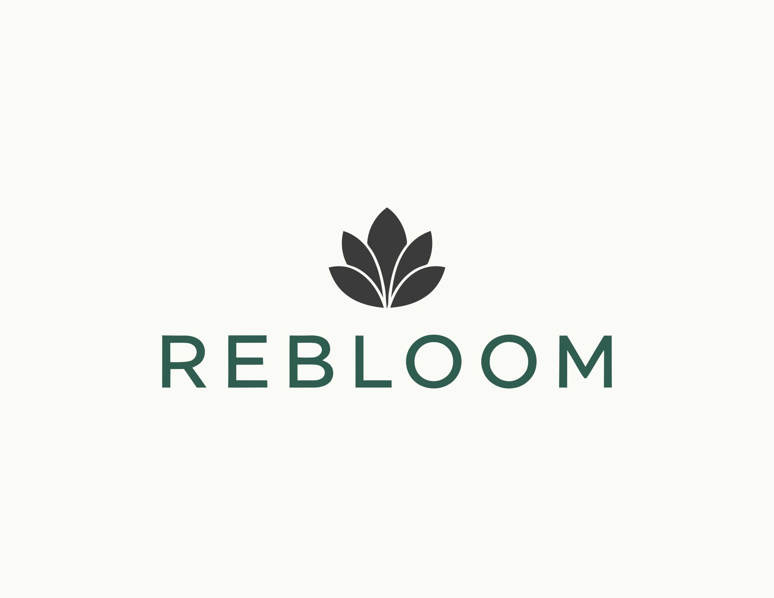ReBloom Global - Ticket Falcon®